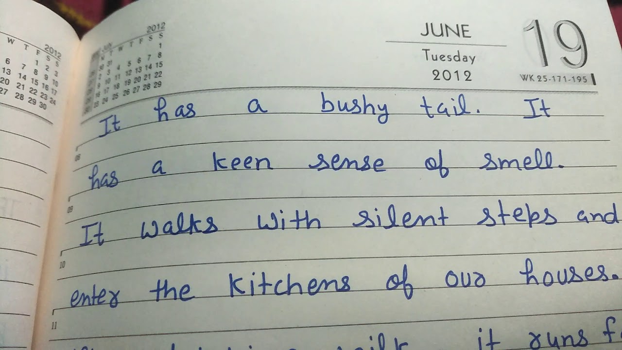 The cat paragraph in English in educational channel by Ritashu - YouTube