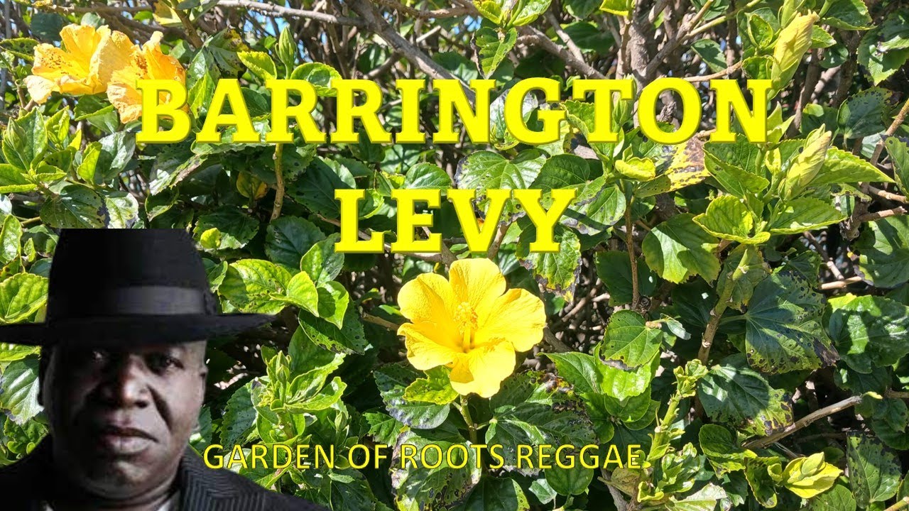 BARRINGTON LEVY | MY TIME | POOR MAN STYLE | LIKE A SOLDIER | GARDEN OF ...