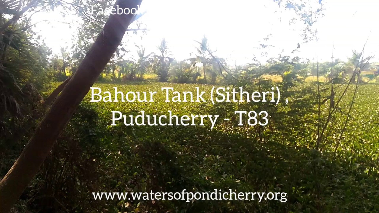 Bahour Tank (Sitheri) , Puducherry - T83 - YouTube