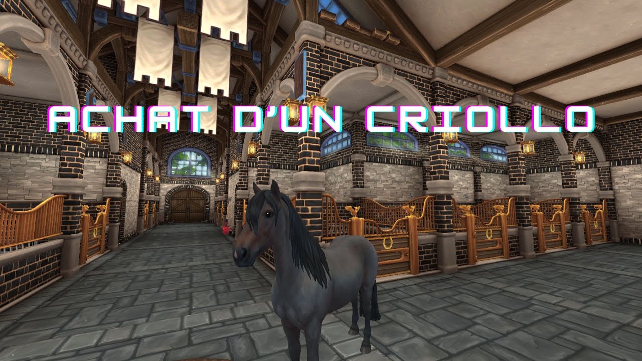Achat d'un Criollo/Star Stable Online - YouTube