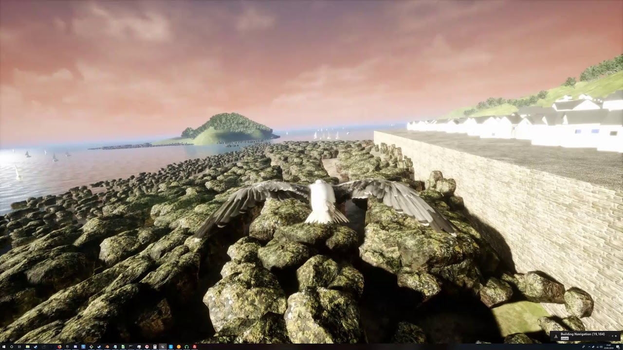 Steven the Seagull Preview - YouTube