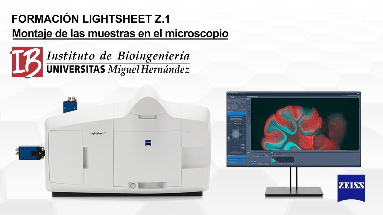 2. Montaje de las muestras en el microscopio - YouTube