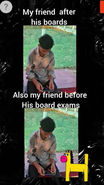 Daily memes #dailymemes #funny #memes #trending #shorts - YouTube