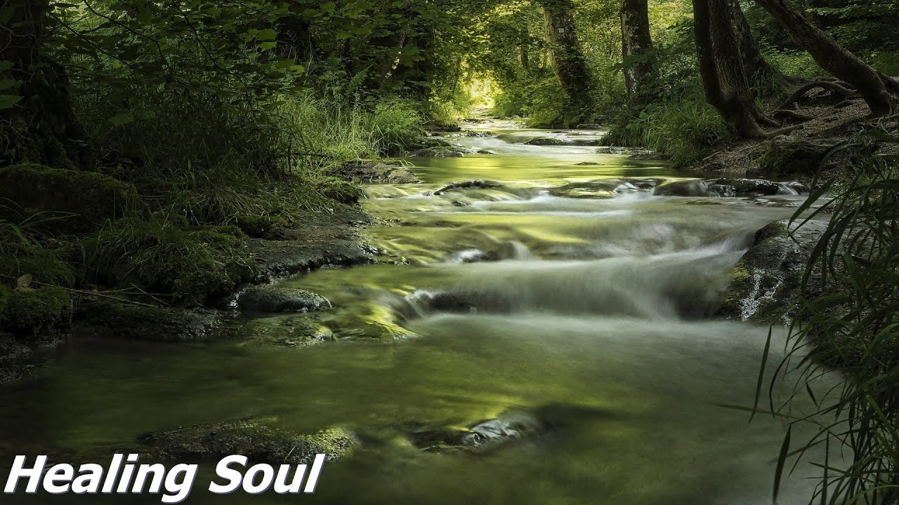 Relaxing Piano Music • Sleep Music, Water Sounds, Relaxing Music ...