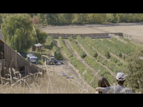 Green Bandit Intro (2018)