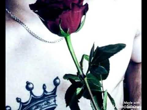 Leyla Leila (OFFICIAL MUSIC VIDEO)