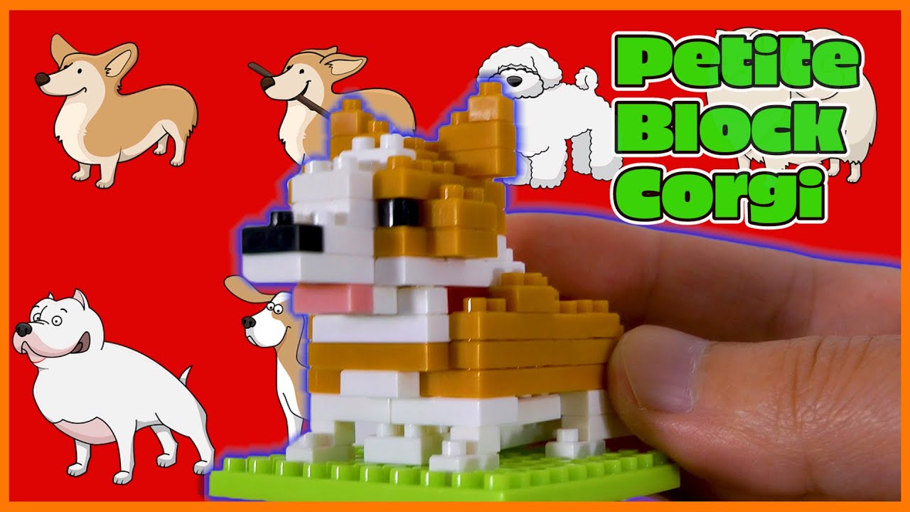 Toy Blocks | Corgi | Building for Children Dog Block - YouTube