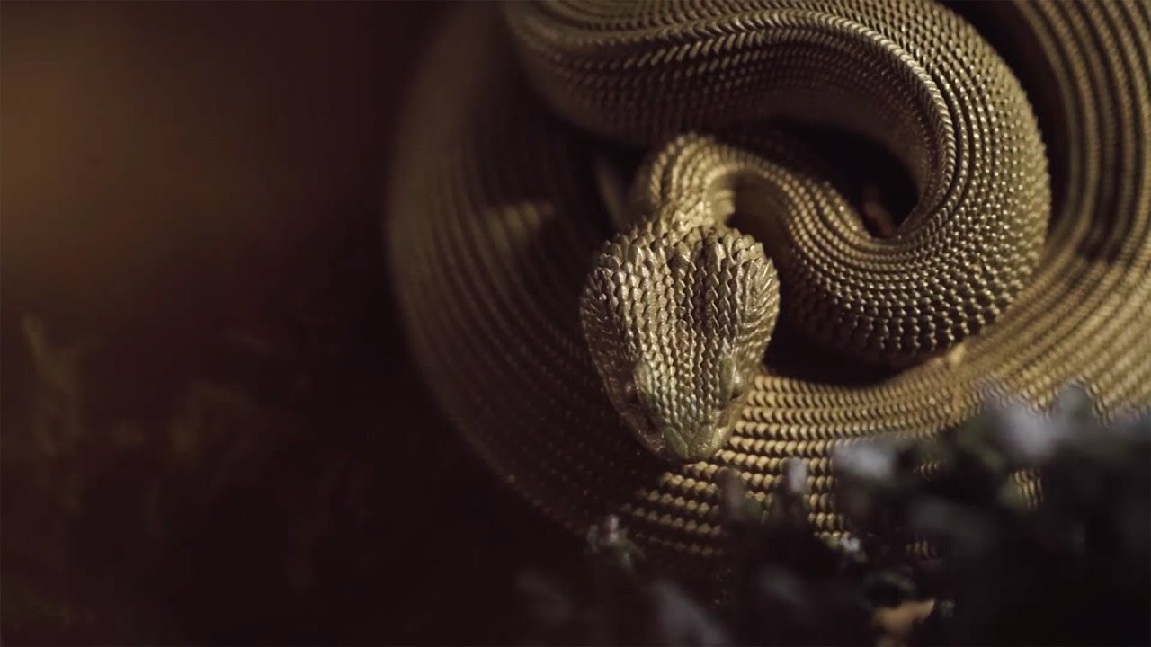 COPPERTIST.WU| PYTHON BOTTLE OPENER - YouTube