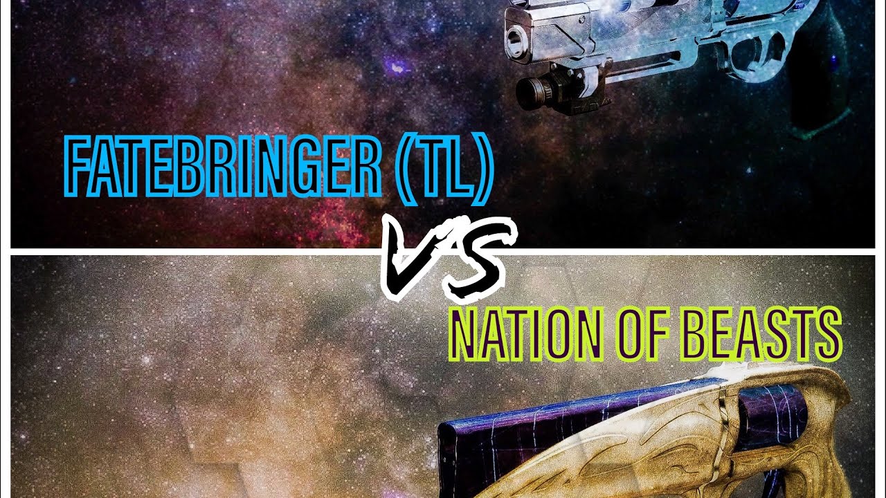 FATEBRINGER (TIMELOST) VS NATION OF BEASTS!! | Destiny 2 VS Raid Hand ...