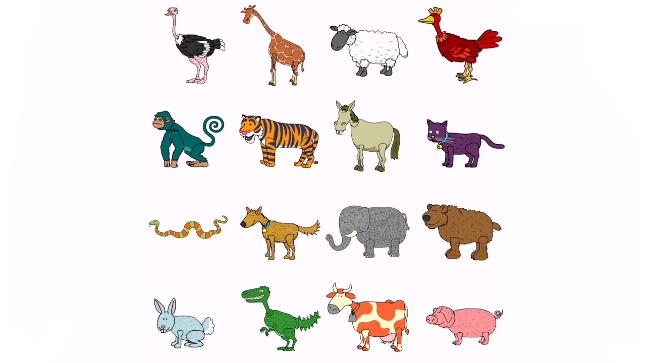 Learning All About Animals and Their Sounds with The Animal Muddle App ...