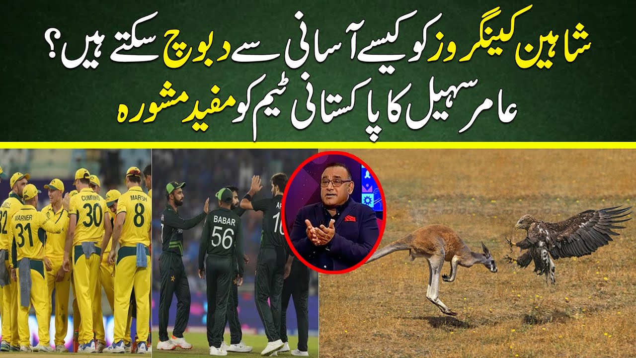 How can hawks catch kangaroos | Pakistan VS Australia | Aamer Sohail ...