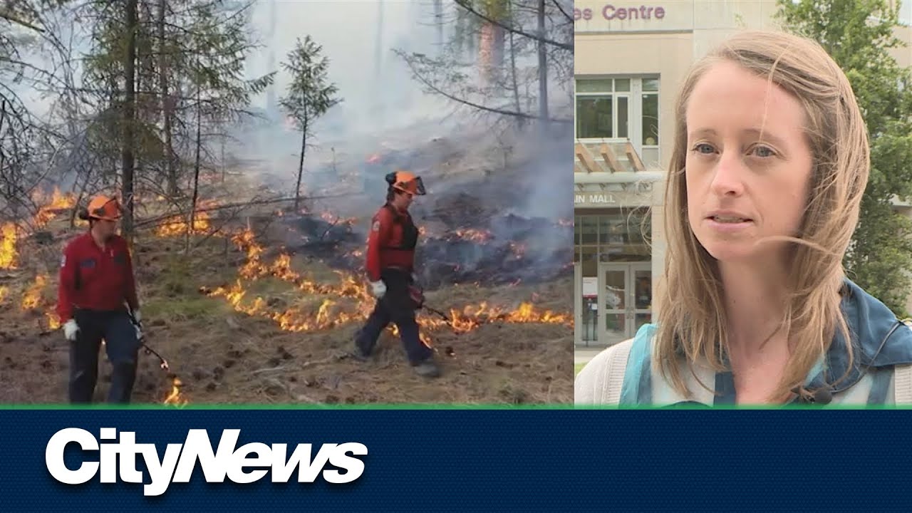 B.C. needs to invest more in fire prevention: expert - YouTube