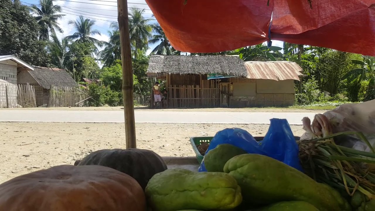 Walking going to the market in talibon - YouTube