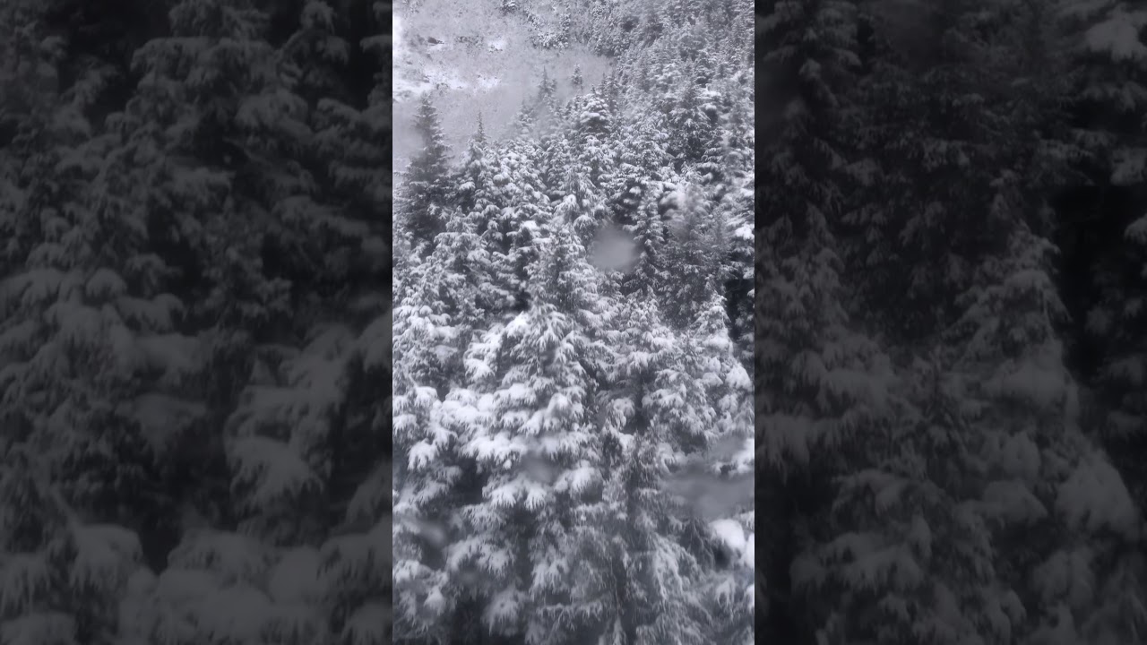 Alaska at Alyeska by Helen Teague - YouTube