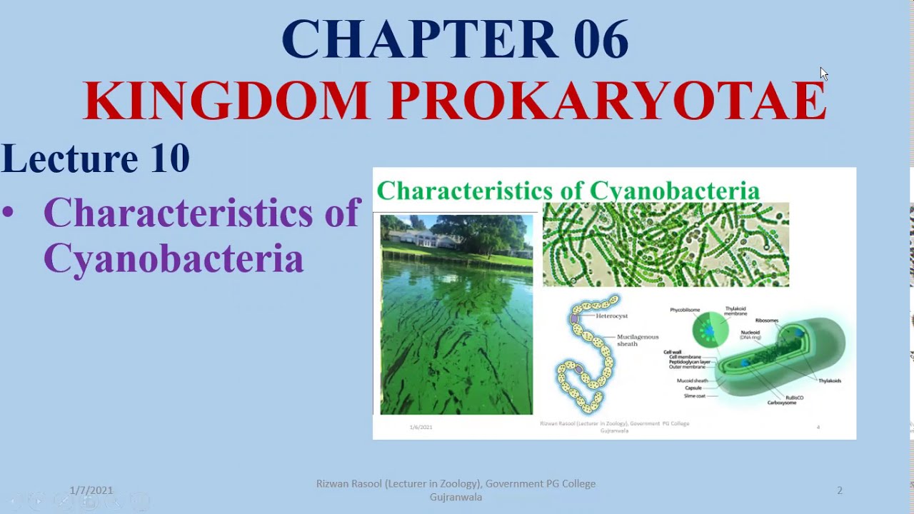 Characteristics of Cyanobacteria, #Cyanobacteria #Blue green algae #ALP ...