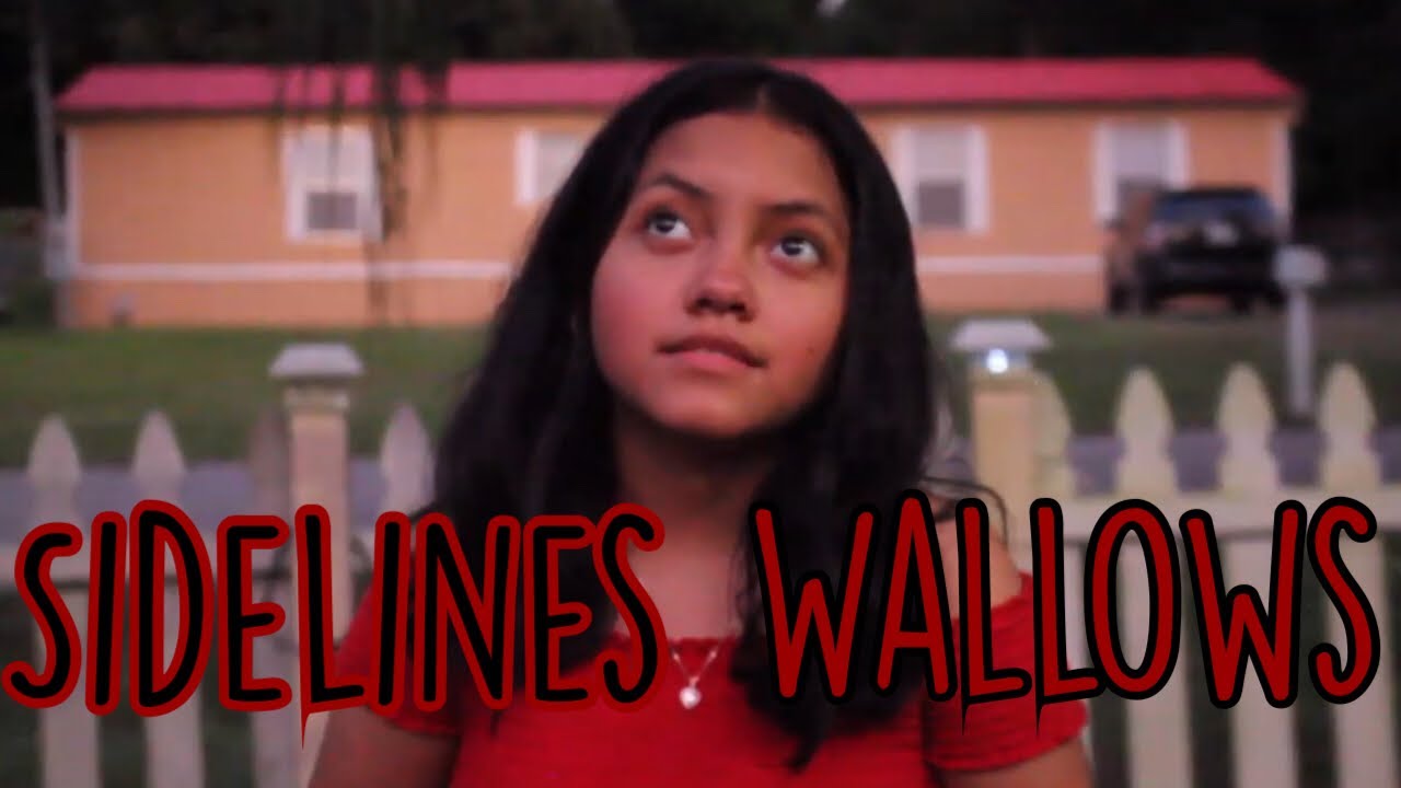 Sidelines by Wallows| fan music video - YouTube