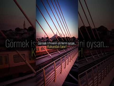 Bahane Değil, Niyet Meselesi.#keşfet #motivasyon #short #keşfetbeniöneçıkar