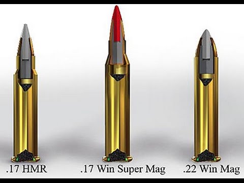 10 new high performance/wildcat cartridges - YouTube