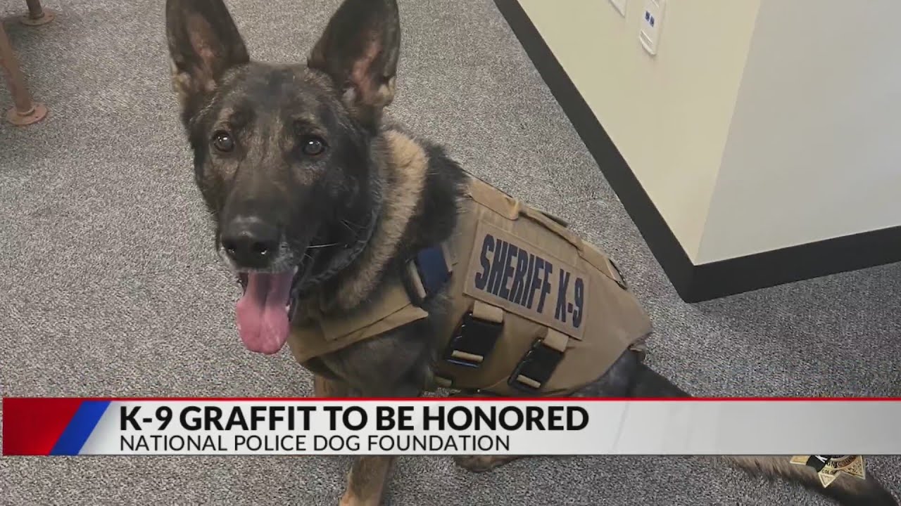 Jefferson County K-9 Graffit to be honored in Washington D.C. memorial ...