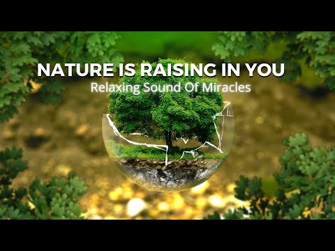 Relaxing Sound Of Miracles - Relaxing music - meditation - stress ...