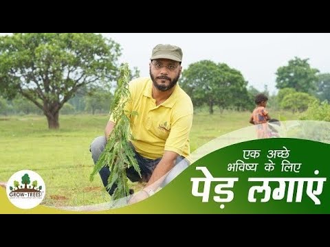 Ped Lagaye | The Tree Anthem by Grow-Trees.com. - YouTube
