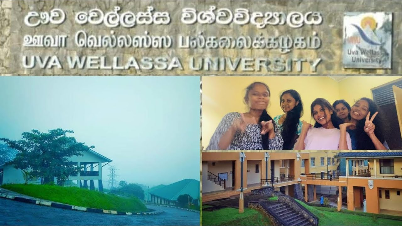 අළුතෙන් කැම්පස් එන නංගිලා මල්ලිලාට /බඩු ලිස්ට් එක/හොස්ටල් ගැන😃♥️ # ...