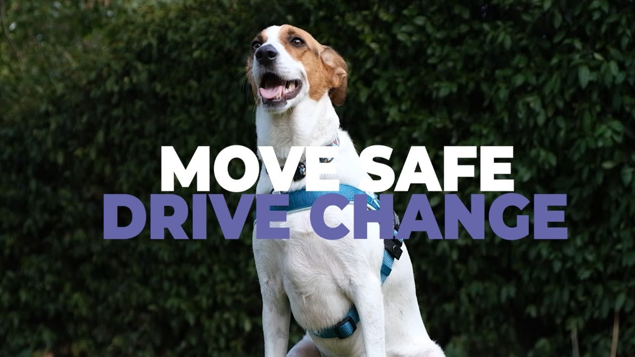 Drive Change - Move Safe & Περπατώ με ασφάλεια - YouTube