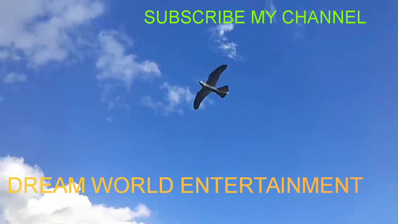 First Flying Robotic Eagle 🦅 Bird by NASA - YouTube