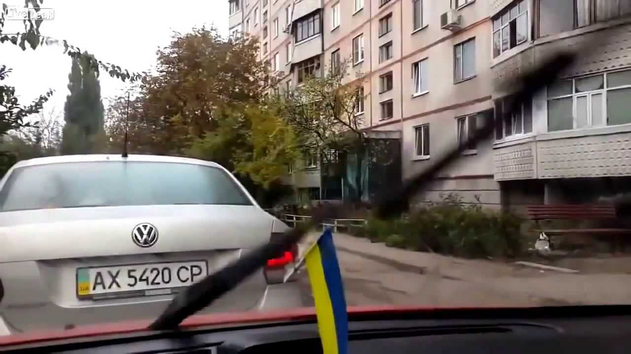 crazy cat,pisica nebuna - YouTube