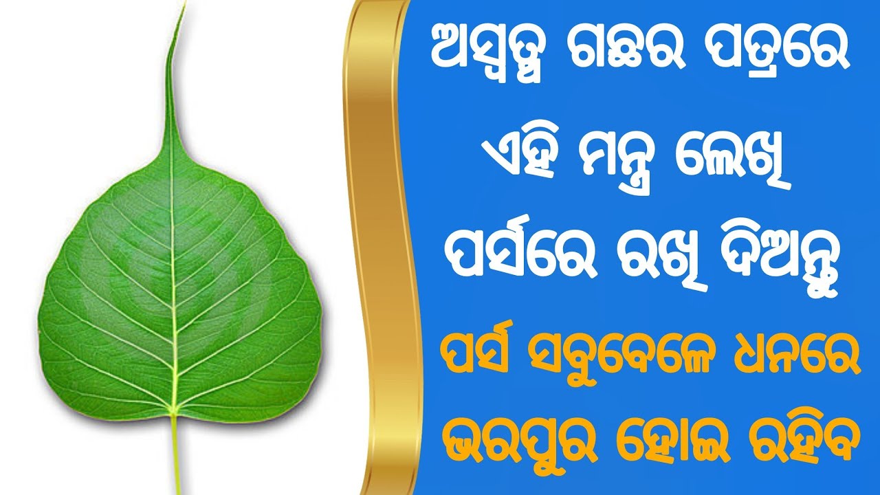 Odia | Osta patra re ehi mantra lekhi parsa re rakhi diantu parsa ...