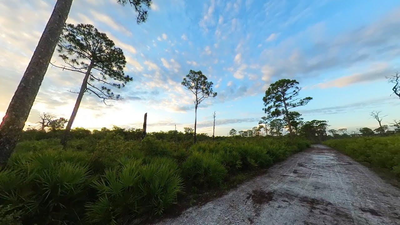 Trail run scenery Lake to Lake to River and back - YouTube