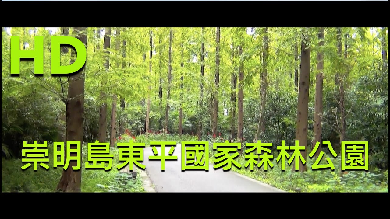 上海東平國家森林公園｜Dongping National Forest Park In Shanghai｜HD - YouTube