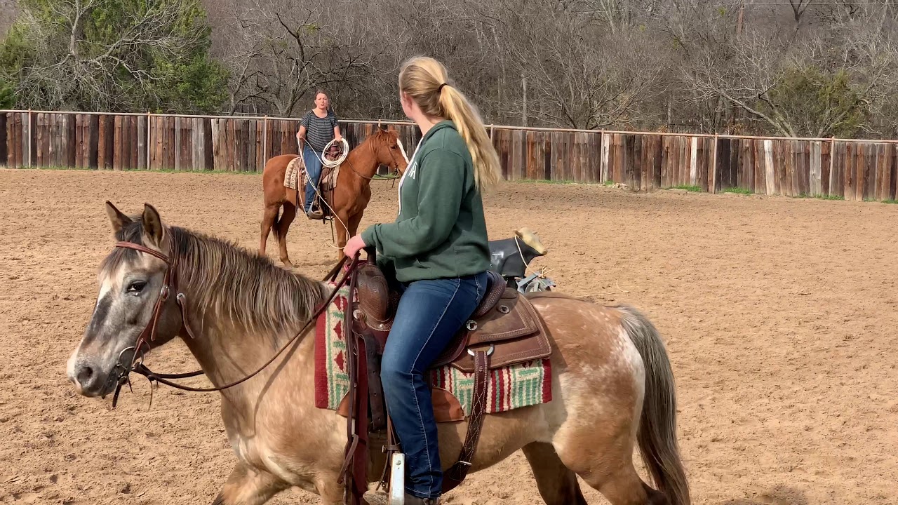 Roping/Pulling dummy with Señor - YouTube