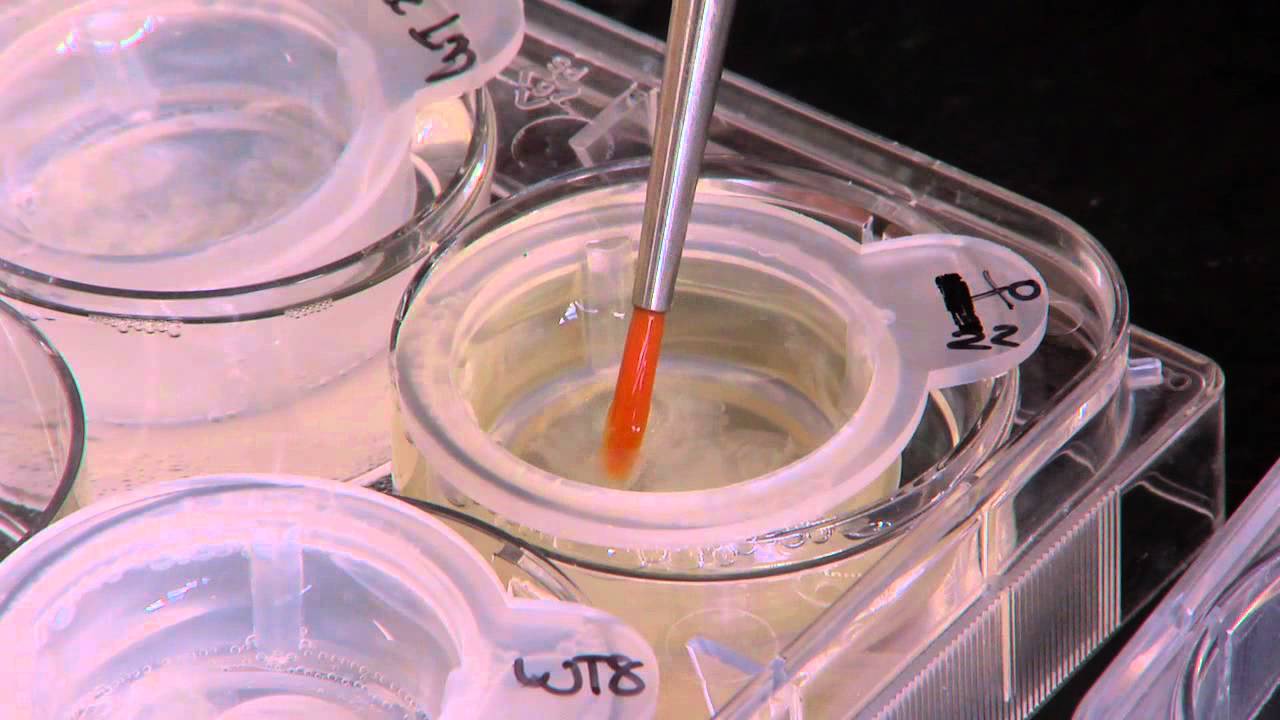 Women in science - YouTube