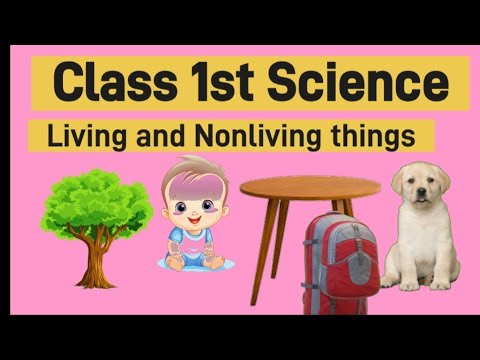 Class 1st Science,(Living and Non living things)।।Kids Learning with ...