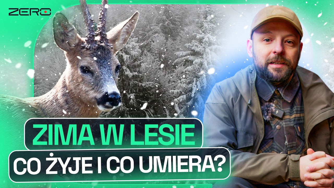 ZIMA W LESIE. JAK RADZI SOBIE PRZYRODA I CZY CZŁOWIEK KIEDYŚ ZAPADAŁ W SEN ZIMOWY? |GATUNEK ZERO ...