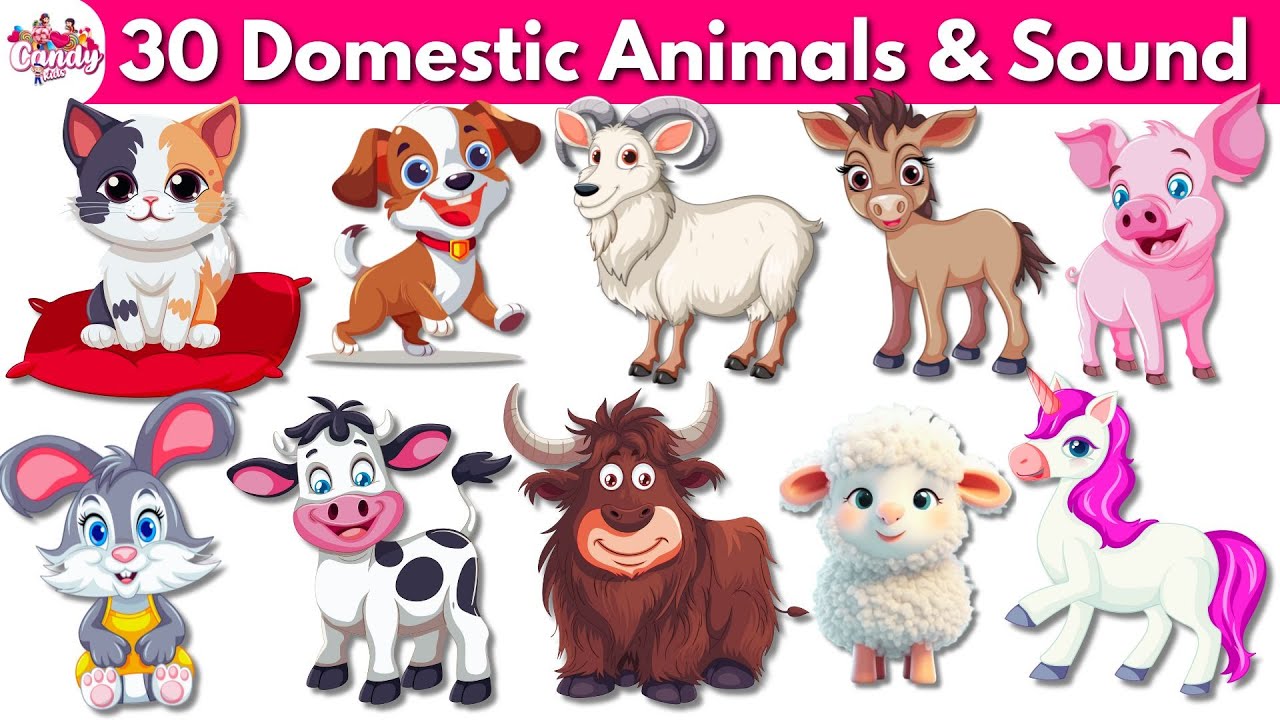 30 Domestic animals name and sound | animals names and sounds ...