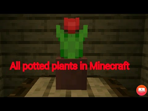 All potted plants in minecraft! - YouTube
