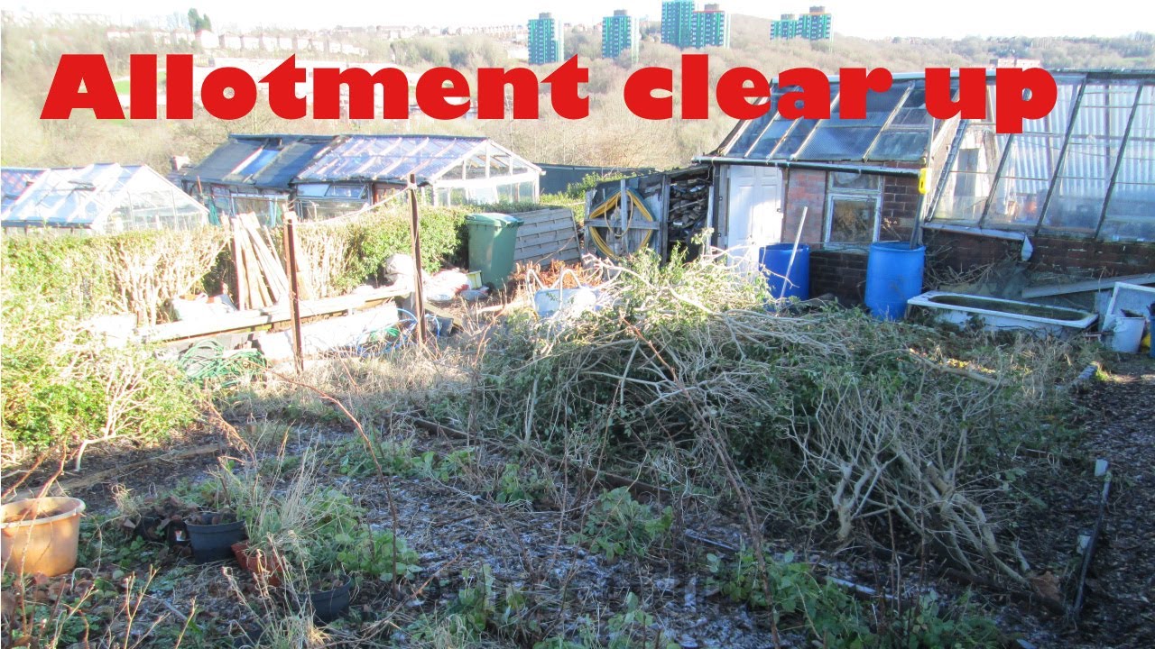 Allotment clear up January 2021 Part 3 of 3 - YouTube