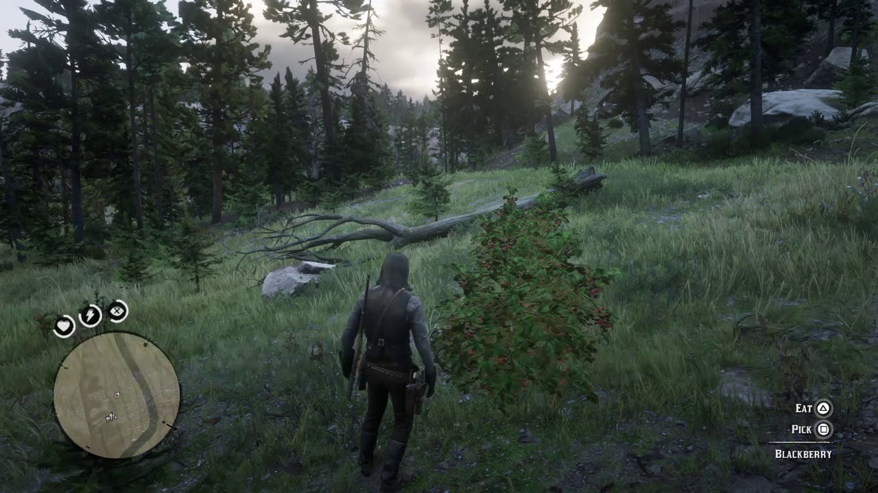 Red Dead Redemption 2 - Blackberry - YouTube