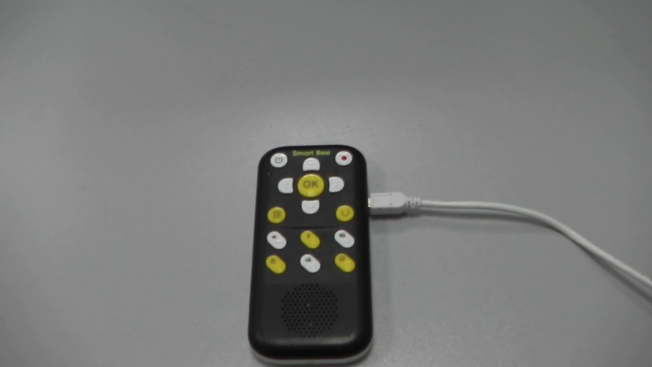 Тифлофлэшплеер SmartBee - YouTube