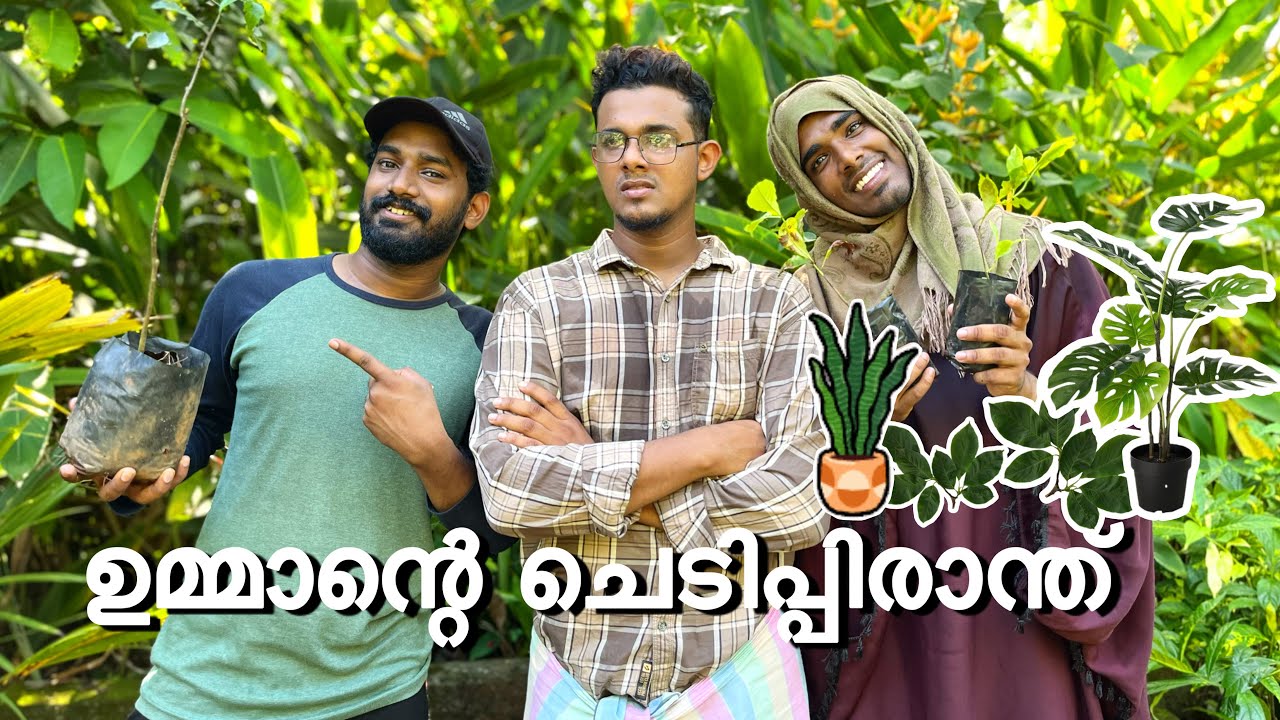 ഉമ്മമാരുടെ ചെടിപ്പിരാന്ത് കോമഡികൾ😂 | saafboi | vines | malayalam - YouTube