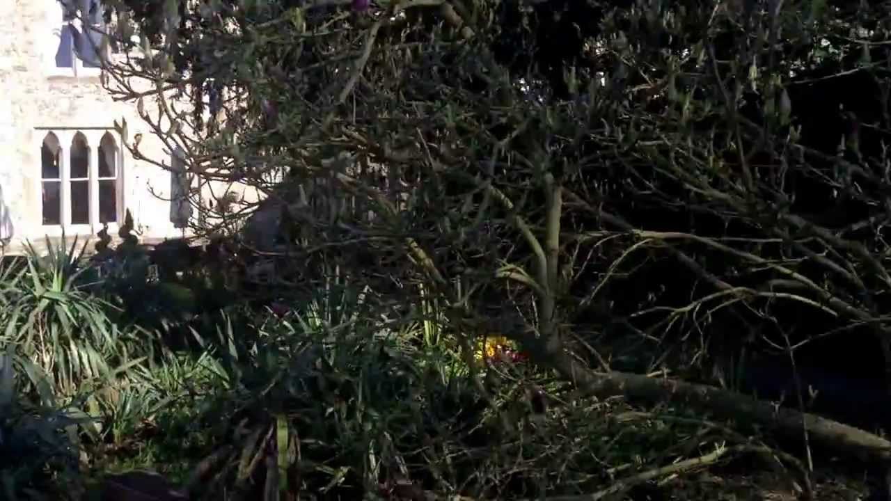 The Knowle Country House Higham Garden Grounds - YouTube