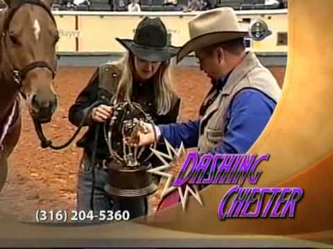 Dashing Chester AQHA World Champion Stallion - YouTube