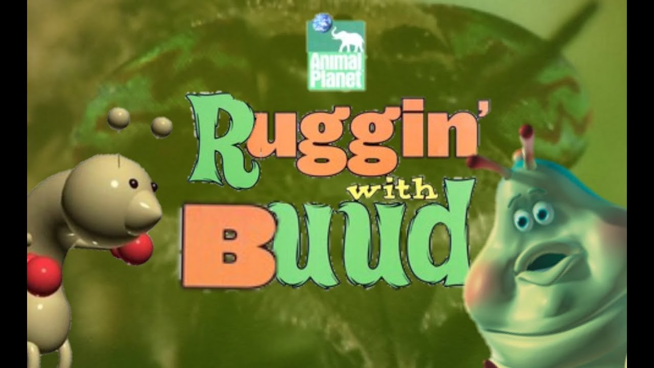 The old Buggin' With Ruud Animal Planet fansite but it's just a loop of ...