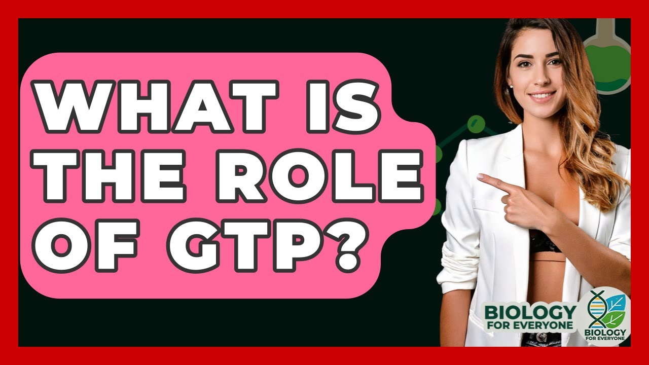 What Is The Role Of GTP? - Biology For Everyone - YouTube