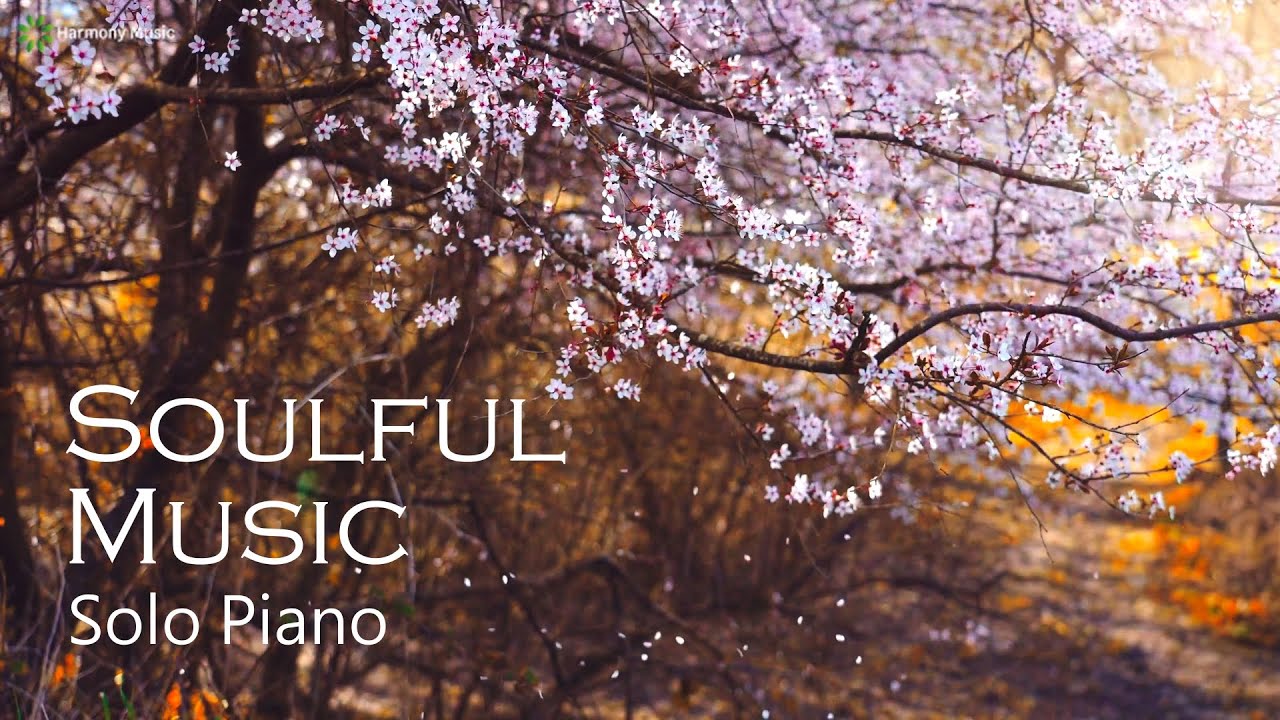 Study Better with Soothing Piano Music as Your Background | Relaxing ...