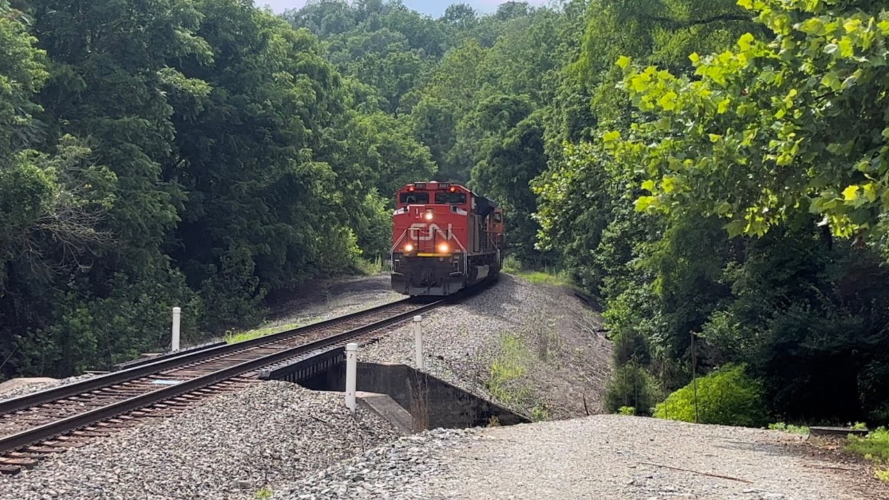 Ns126 with cn 8941 and bnsf 8901 wells fargo unit - YouTube