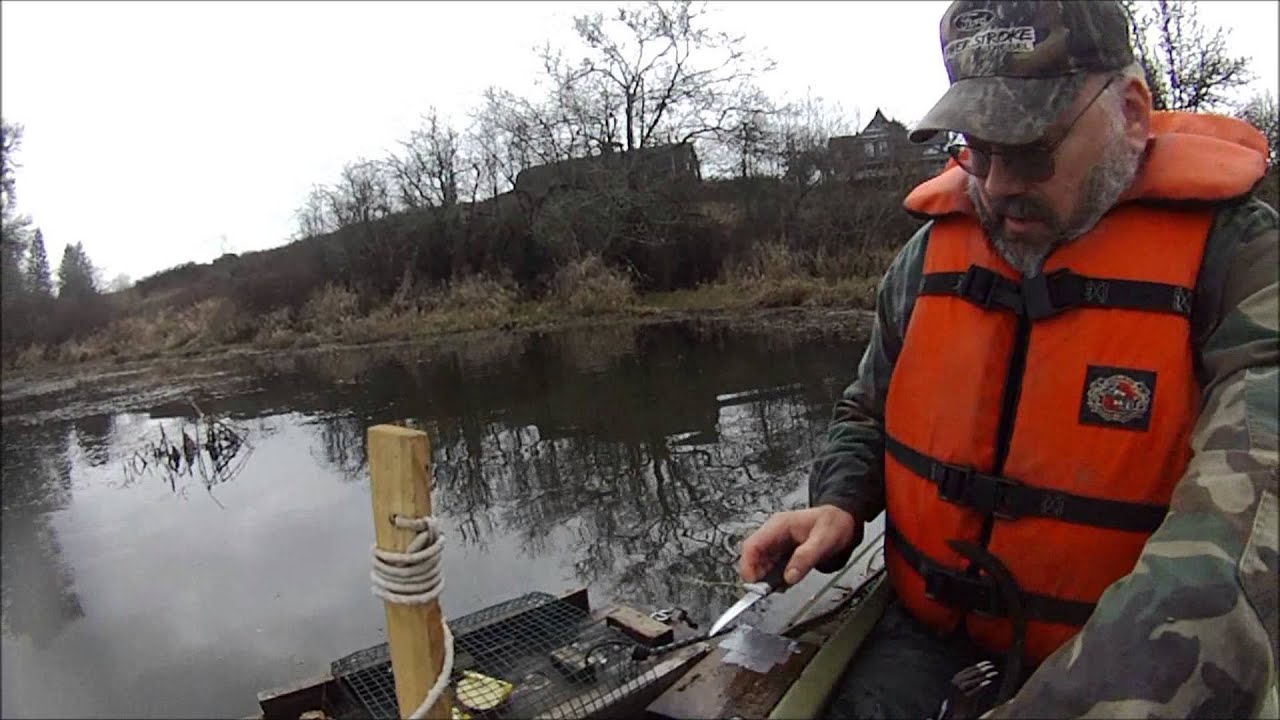 Muskrat Trapping Floats Jim's Farm #2 - YouTube