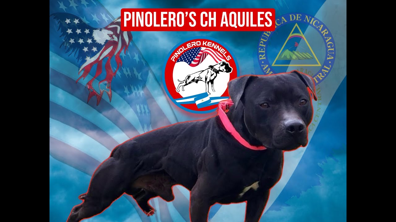 S1 EP1 Pinoleros CH. Aquiles - YouTube